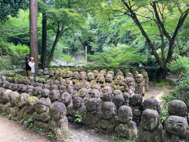 West Kyoto & Arashiyama: Walking Tour W/Matcha & Calligraphy - Kinkaku-ji