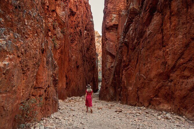 West MacDonnell Ranges & Standley Chasm Day Trip from Alice Springs - Analyzing the Value
