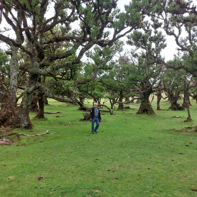 West Madeira:, Laurel Forest, Waterfall, Rock Pools, Walk - Wrapping It Up