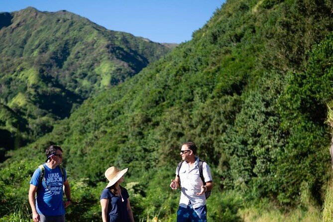 West Maui Adventure Tour with Private Guide - What Do Travelers Say?