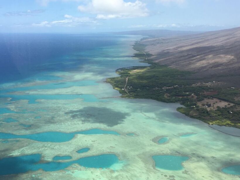 West Maui and Molokai Special 45-Minute Helicopter Tour - Authentic Traveler Feedback