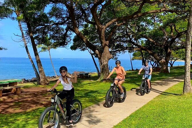 West Maui eBike Island Explorer Full-Day Rental - Who Should Consider This Tour?