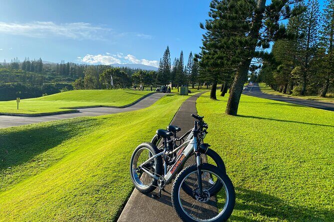 West Maui Electric Bike Rentals - An Introduction to Maui’s E-Bike Adventure