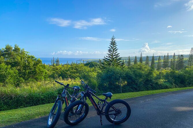West Maui Electric Bike Rentals - Authentic Experiences: What Travelers Are Saying