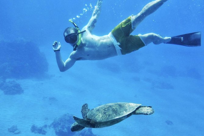 West Maui Half Day Snorkel from Ka’anapali Beach - Who Will Love This Tour?