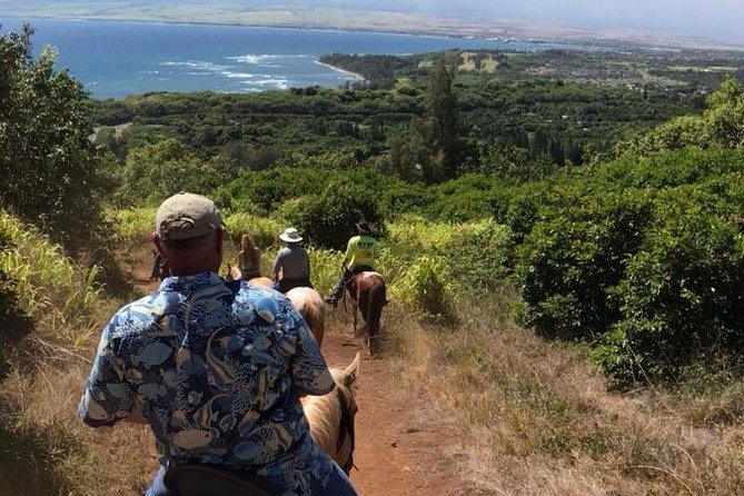West Maui Mountain Waterfall and Ocean Tour via Horseback - Who Will Love This Tour?