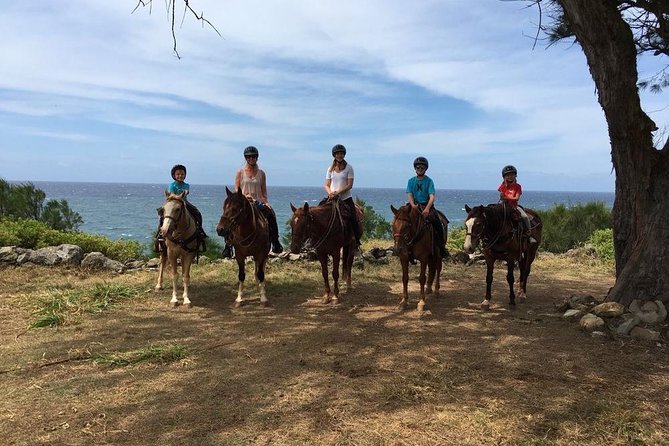West Maui Mountain Waterfall and Ocean Tour via Horseback - The Sum Up