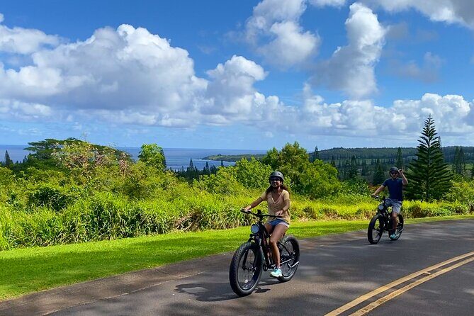 West Maui: Self-Guided E-Bike Kapalua Jungle Adventure Tour - Authentic Experiences from Riders