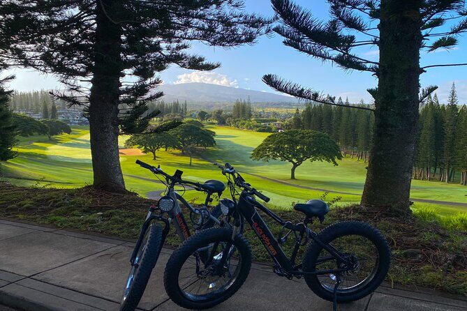 West Maui: Self-Guided E-Bike Kapalua Jungle Adventure Tour - Who Should Consider This Tour?