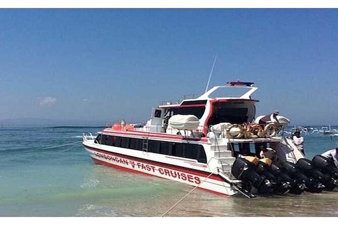 West Nusa Penida Full-Day Private Tour - FAQs