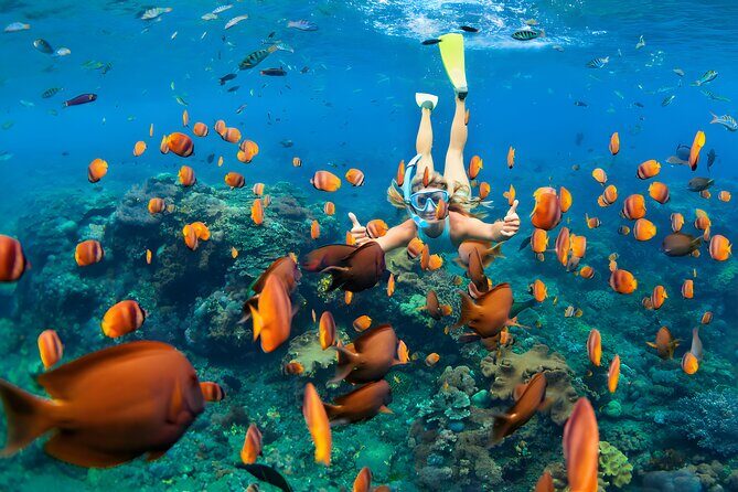 West Nusa Penida Island Snorkeling Tour - From Bali Island - Introduction: Why Consider This Tour?