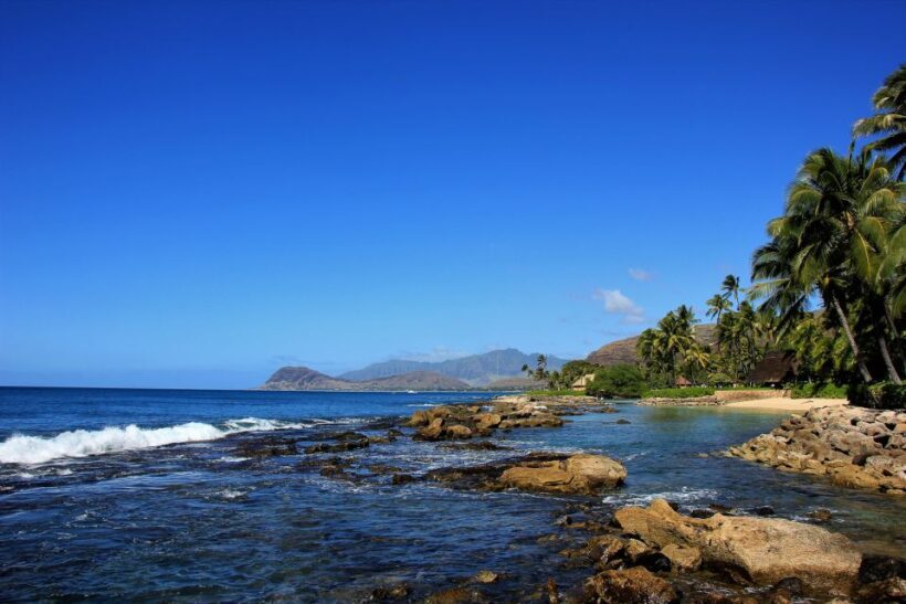 West Oahu: Dolphin Watch & Snorkel Sail - Key Points