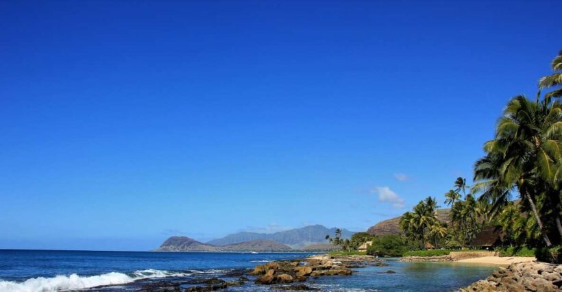 West Oahu: Dolphin Watch & Snorkel Sail - A Deep Dive into the Experience