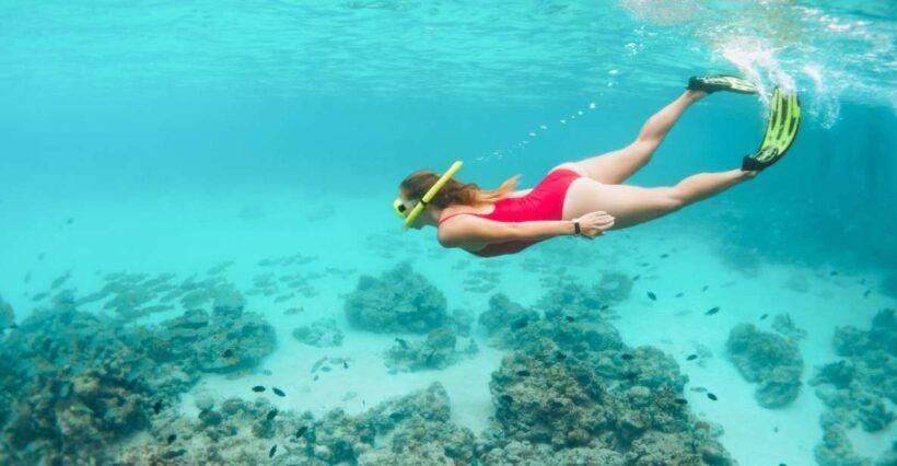 West Oahu: Turtles, Dolphins, and Snorkeling Tour with Lunch - Introduction