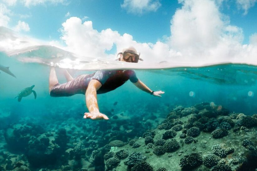 West Oahu: Turtles, Dolphins, and Snorkeling Tour with Lunch - The Sum Up