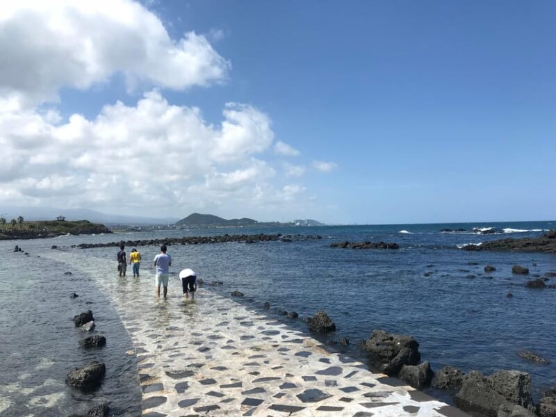 West of Jeju island Bus Tour from Seogwipo city, Jeju island - Return and Drop-off