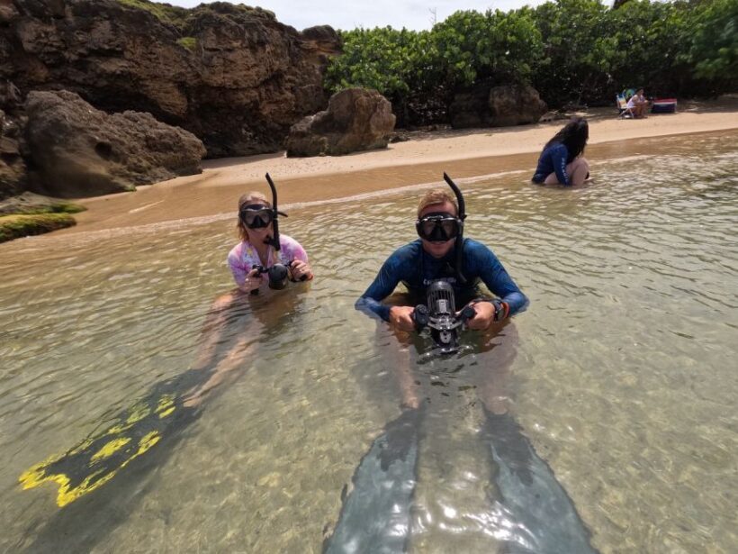 West Palm Beach: Beginner Jet Snorkel Tour with Videos - Who Is This Tour Best For?
