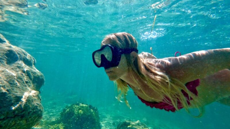 West Palm Beach: Beginner Snorkel Tour with Turtles & Videos - Final Thoughts: Is It Worth It?