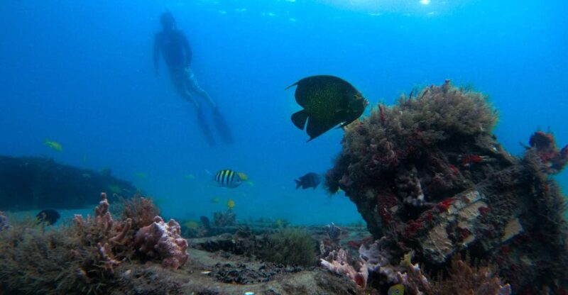 West Palm Beach: Blue Heron Bridge Guided Snorkeling Tour - Practical Tips for Your Snorkeling Adventure