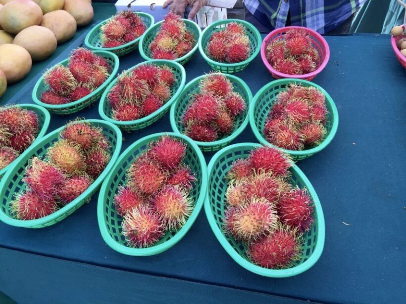 West Palm Beach: Mornings in the Market Food Tour - The Experience and Atmosphere