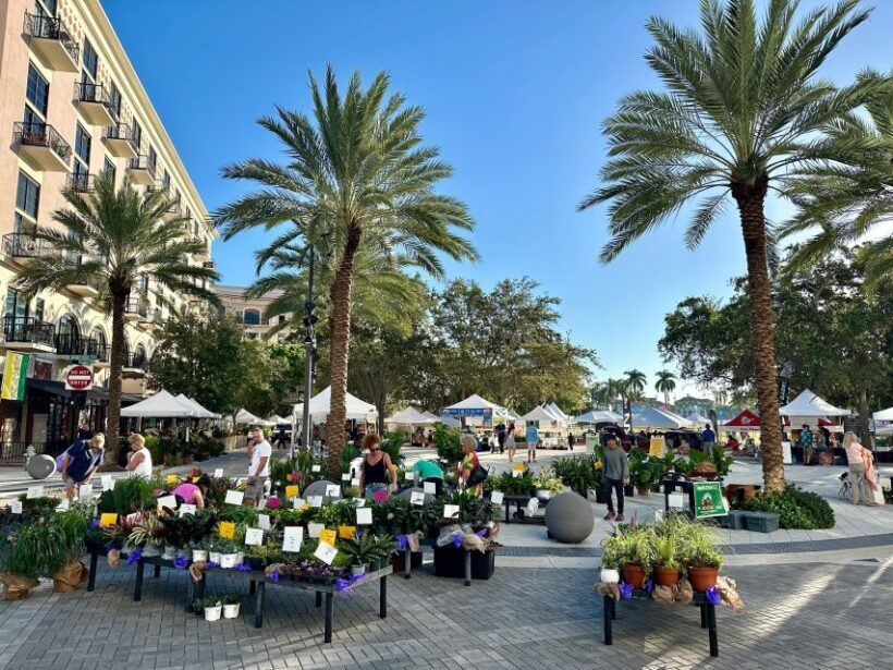 West Palm Beach: Mornings in the Market Food Tour - Practical Details and Value