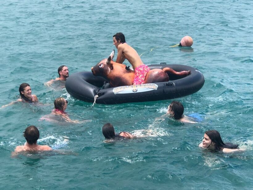 West Palm Beach: Sip & Dip Cruise - Key Points