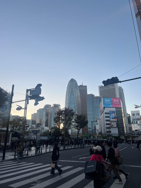 West Shinjuku Observatory complimentary transportation card - Analyzing the Value: Is It Worth It?