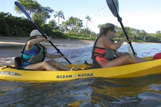 West Side Discovery Kayak & Snorkel Tour - Key Points