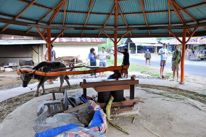 West Sumatra Cultural Tour With Accommodation 4 Days 3 Nights - The Itinerary in Detail