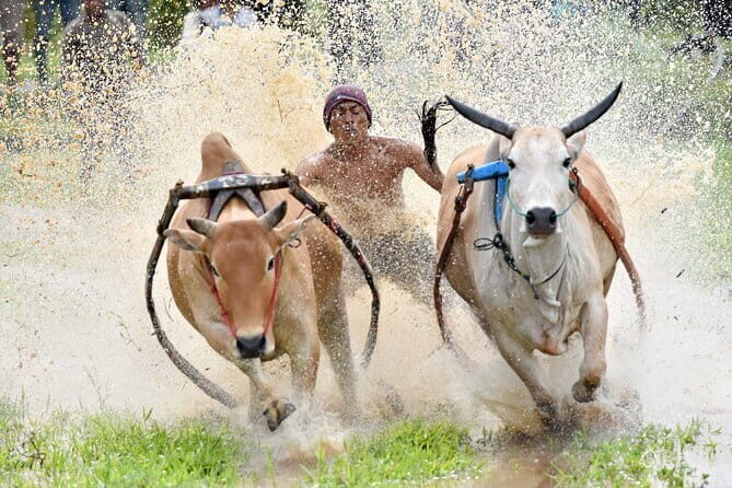 West Sumatra Private Tour from Padang By Private Car - An Overview of the West Sumatra Private Tour