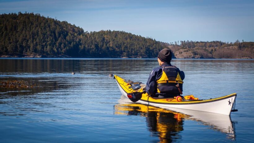 West Sweden: Paddle with seals - Discovering the Experience: What to Expect