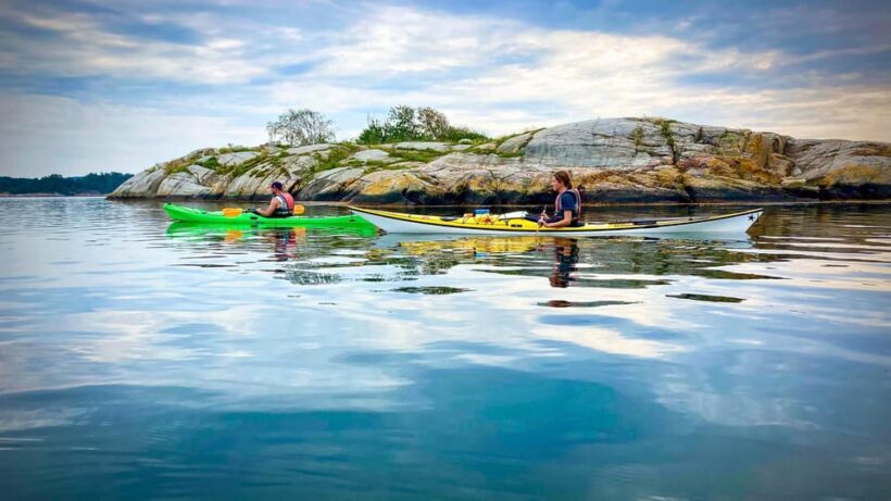 West Sweden: Paddle with seals - Who Would Love This Tour?