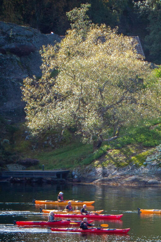 West Sweden: Sea Kayak Delight in Nature Reserves - Key Points