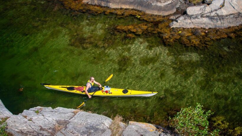 West Sweden: Sea Kayak Delight in Nature Reserves - Why This Tour Offers Great Value