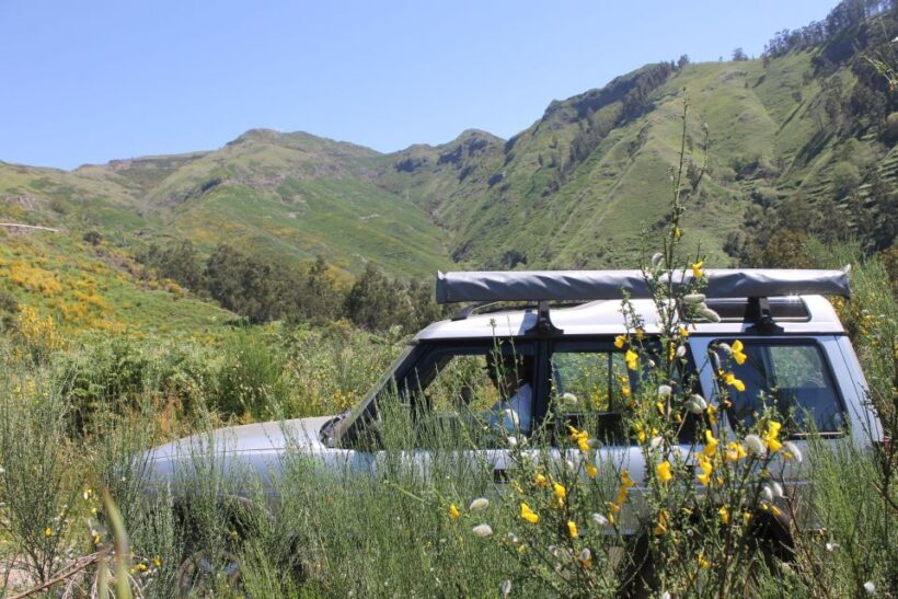 West Tour Full day 4x4 Jipe Tour Natural Swimming Pools - Final Thoughts
