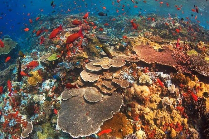 West Trip and Snorkeling Nusa Penida - The Sum Up: Who Would Love This Tour?