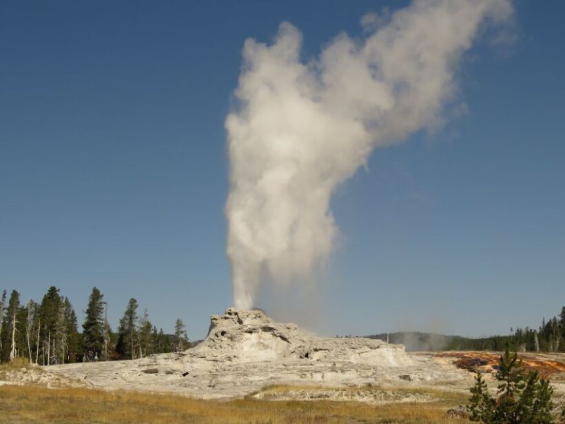 West Yellowstone: Yellowstone Day Tour Including Entry Fee - Wildlife Encounters