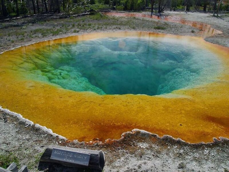 West Yellowstone: Yellowstone Day Tour Including Entry Fee - Day in the Park: What to Expect