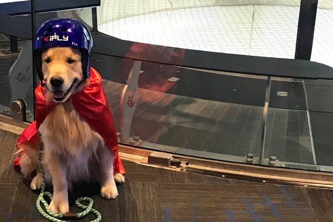 Westchester Indoor Skydiving Admission with 2 Flights & Personalized Certificate - Safety, Comfort, and Practical Tips