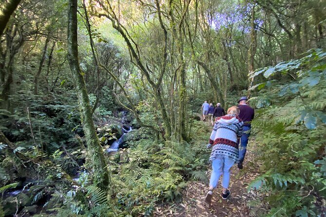 Western Bays Sightseeing Tour from Kinloch Lake Taupo - The Itinerary Breakdown
