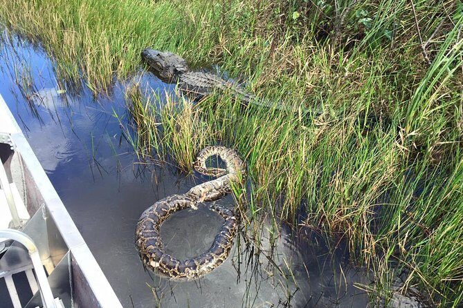 Western Everglades Adventure Tour - An In-Depth Look at the Western Everglades Adventure Tour