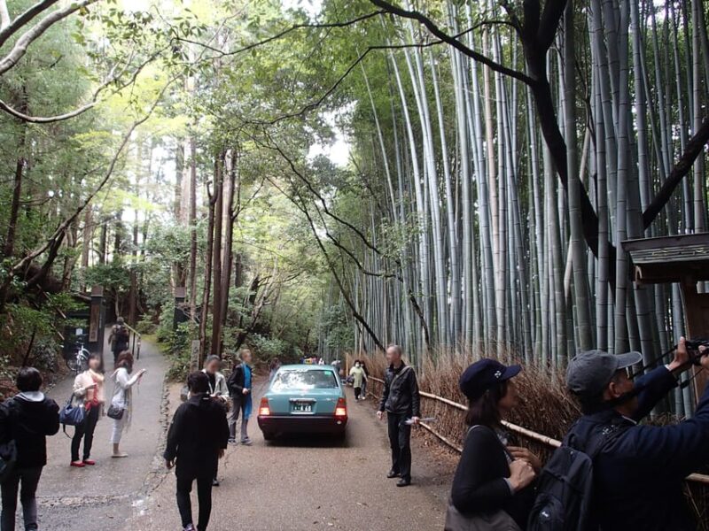 Western Kyoto Walking Tour With Local Guide - Frequently Asked Questions