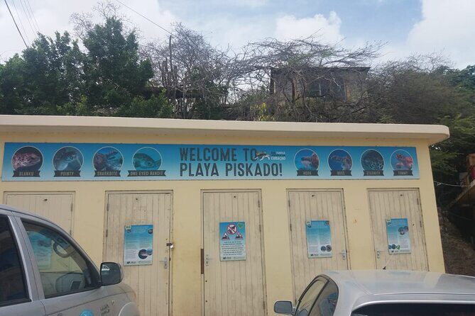 Western snorkel & swim Trip - Key Points