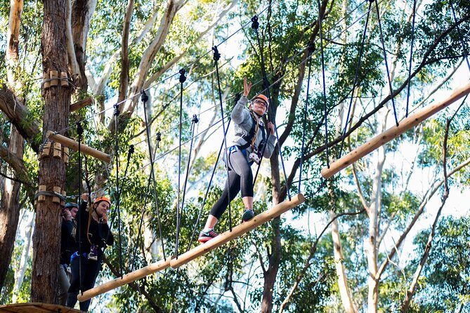 Western Sydney Tree Ropes Course - An In-Depth Look at Western Sydney Tree Ropes Course