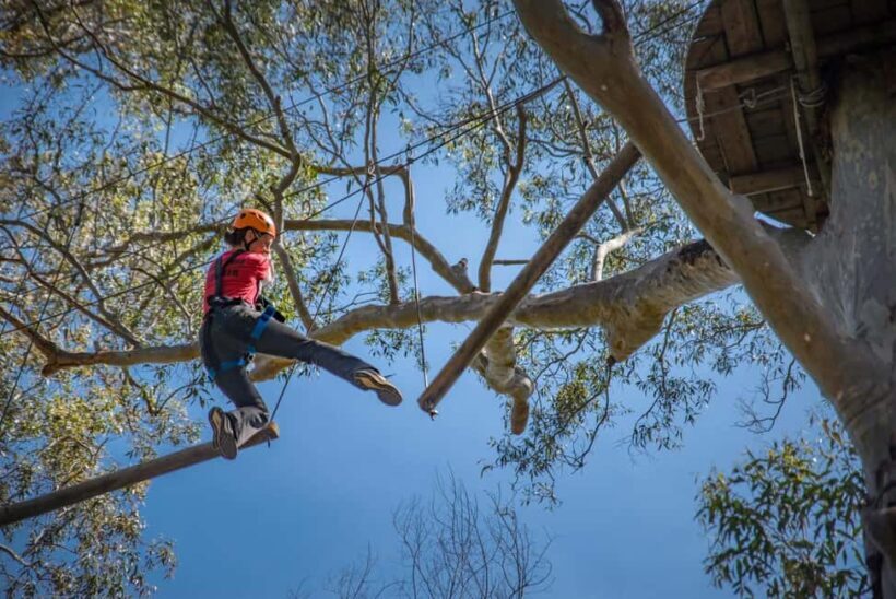 Western Sydney: Tree Ropes Courses - The Courses and Challenges