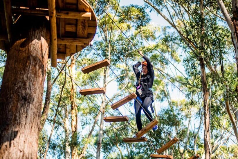Western Sydney: Tree Ropes Courses - The Natural Surroundings