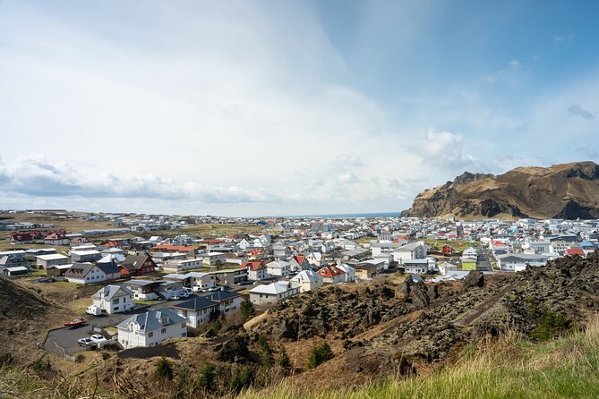Westman Islands, Volcanoes and Puffins Small Group Tour - Key Points