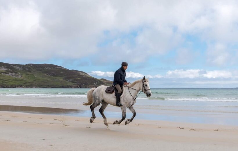 Westport: Beach and Countryside Guided Horse Ride - Introduction