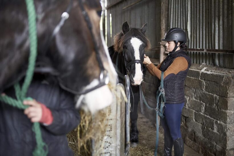Westport: Beach and Countryside Guided Horse Ride - Key Points