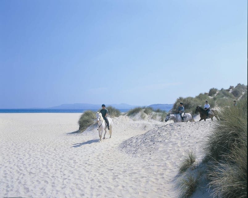 Westport: Beach and Countryside Guided Horse Ride - What You Can Expect During the Tour